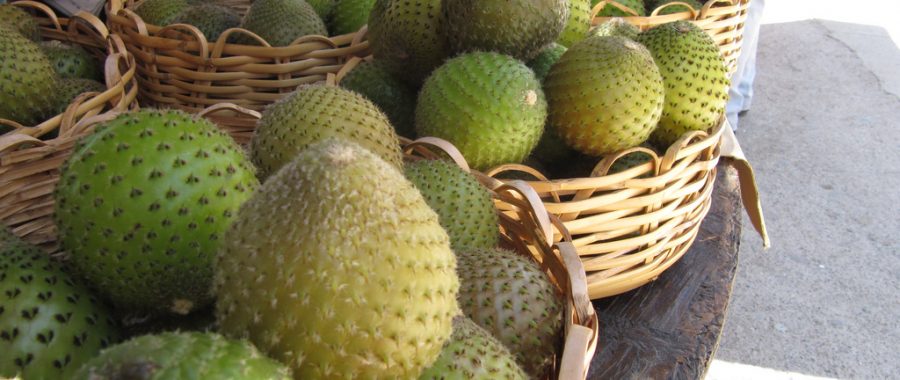 El delicioso Copao — Radio Imagina