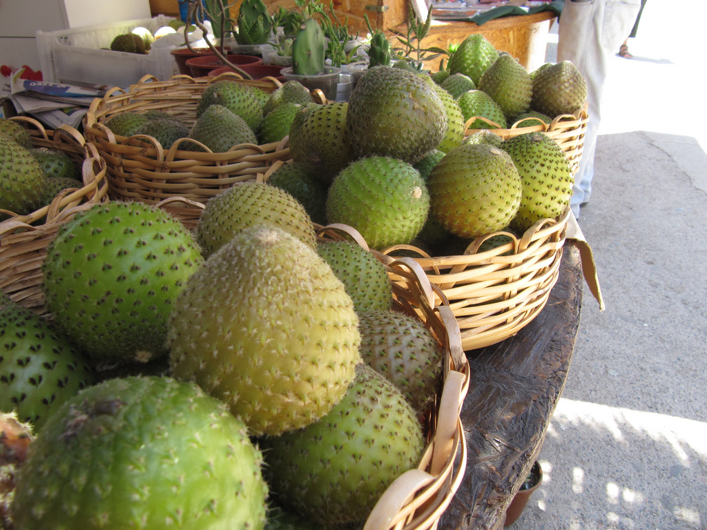 El delicioso Copao — Radio Imagina