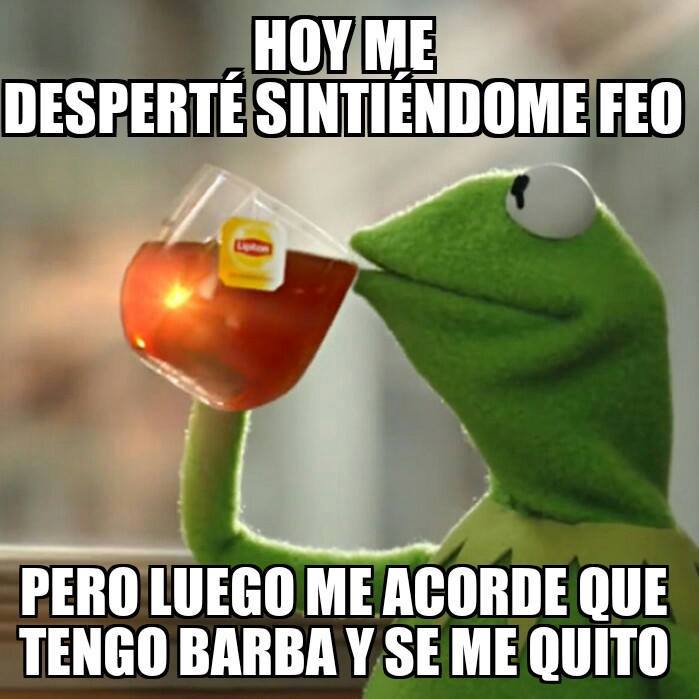 Disfruta con los memes de la Rana René — Radio Imagina