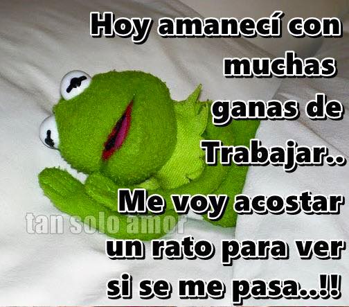 Frases De La Rana Rene De Amor