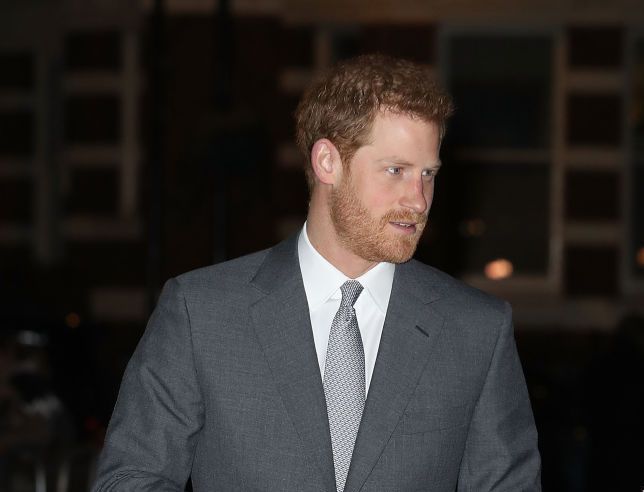 La perturbadora costumbre del PrA ncipe Harry que genera polA mica en la web — Radio Imagina