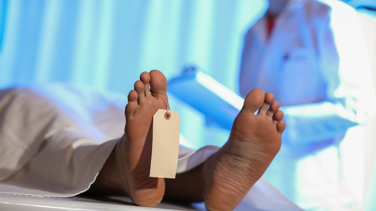 Autopsia pública: La historia de una viuda y los restos de su esposo ...