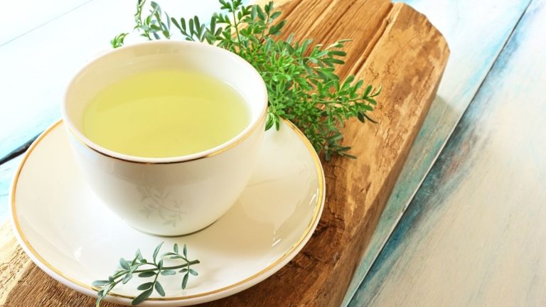 Ruda beneficios: Qué es, cómo preparar y sus contraindicaciones — Radio ...