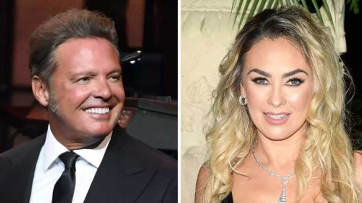 Revelan el motivo de la ruptura de Luis Miguel y Aracely Arámbula — Radio Imagina