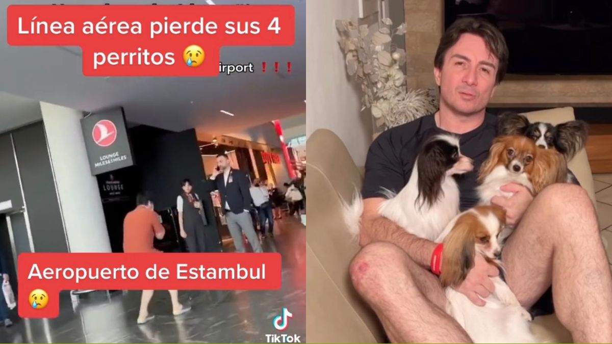 Video viral: Hombre se reencontró con sus perros tras ser extraviados por una aerolínea — Radio ...