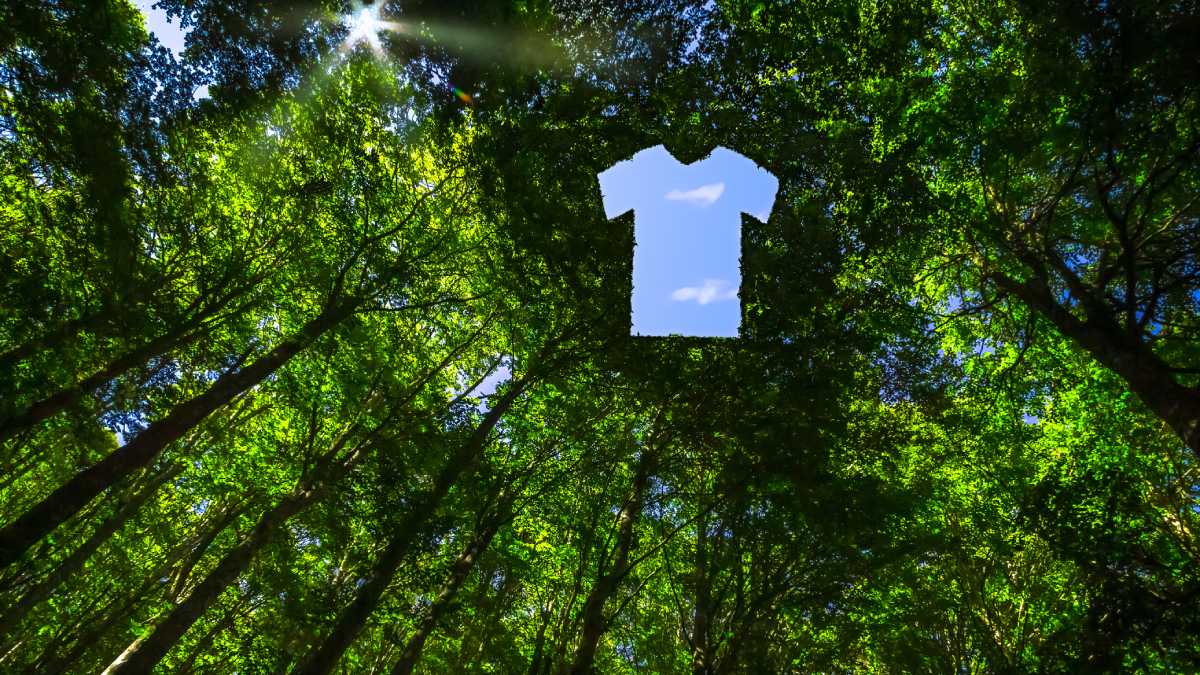 El impacto ambiental de la industria de la moda — Radio Imagina