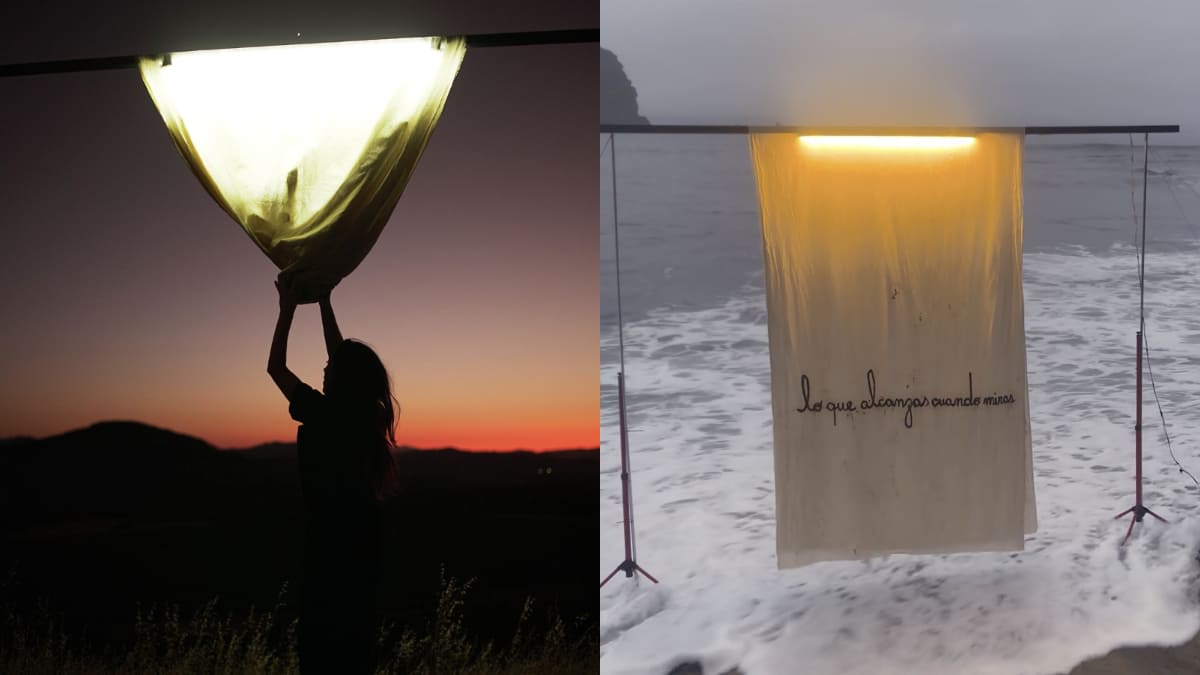 Cuatro exhibiciones, música en vivo y un remodelado recinto: confirman ...