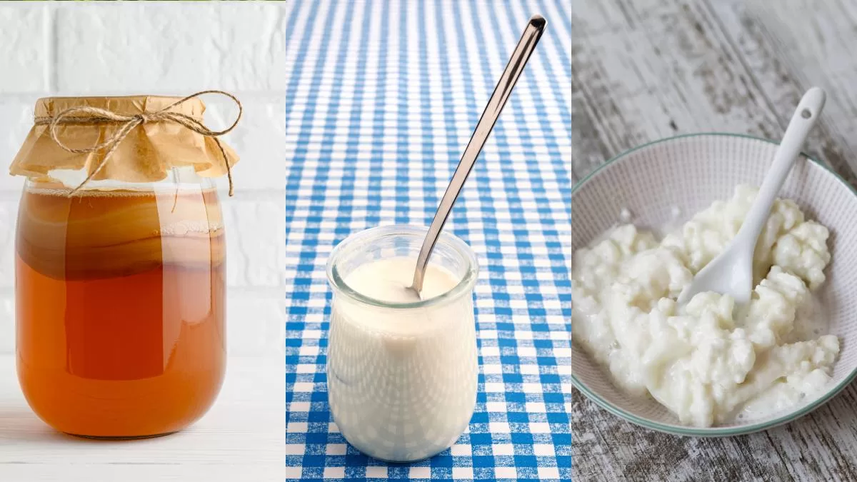 Presente en kombucha, yogur, kéfir y más: Estudio reveló que este ...