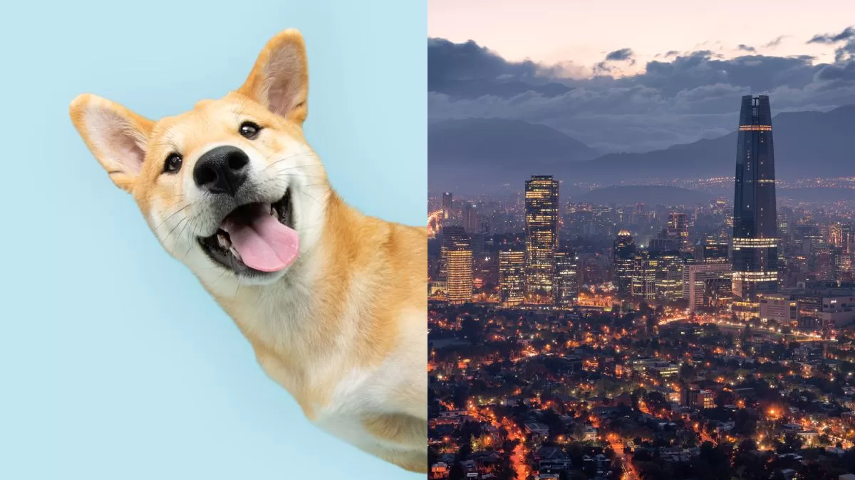 ¿Cuál es la ciudad más feliz de Chile? Esto reveló el prestigioso ...