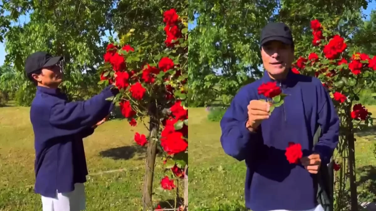Recordó a su querida madre Irma Arce: ¡Así fue el cariñoso saludo de ...